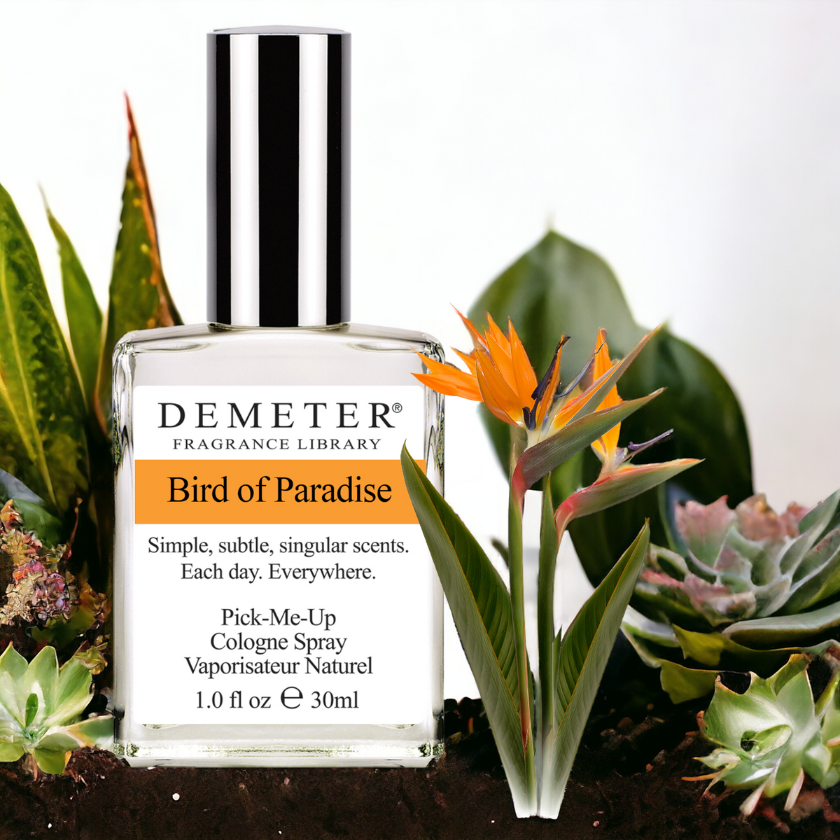 Bird of Paradise Cologne Spray – Demeter Fragrance Library